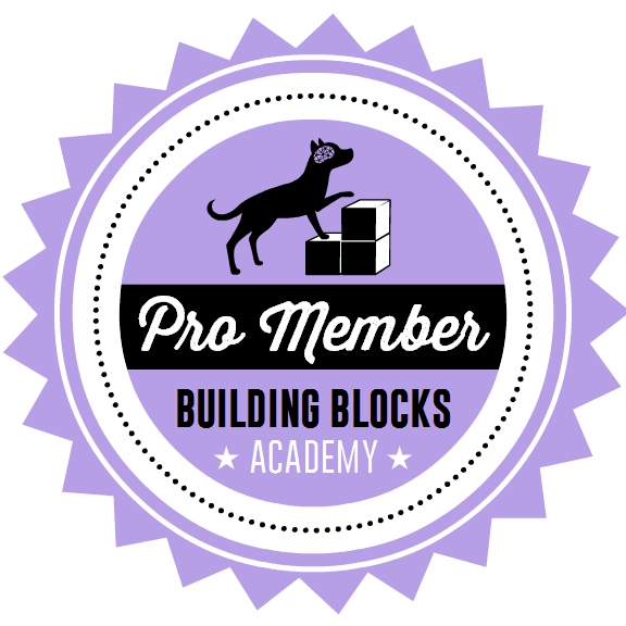 Activate Super Cool Pro Member Features - Grisha Stewart
