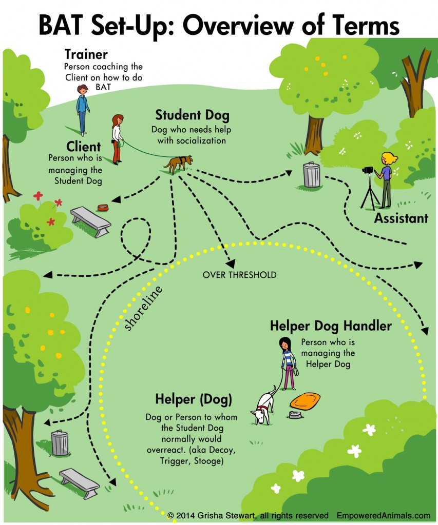 Lesson 11: BAT Set-Up! - Grisha Stewart