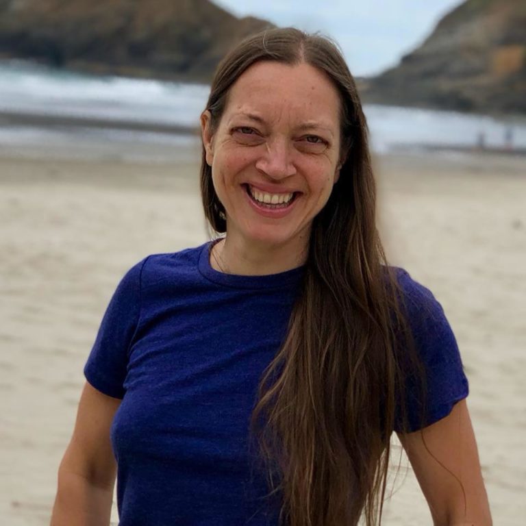 BAT Set-Ups Practice Course: Shelter Dog Sessions - Grisha Stewart