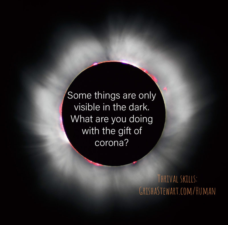 The Gift of Corona - Grisha Stewart